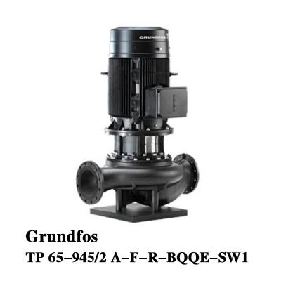 China Grundfos TP 65-945/2 Commercial In-Line Pump 37 kW 111.8 m³/h Flow 85.79 m Head for HVAC Systems for sale