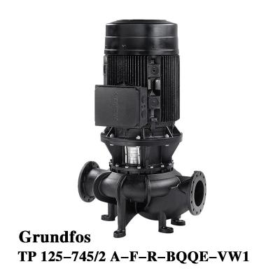 China Grundfos TP 125-745/2 Booster Vertical in-Line Circulating Pump Multistage Centrifugal Pump for sale