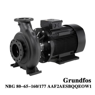 China Grundfos NBG 80-65-160/177 Centrifugal Pump 15kW 94.85 m³/h for Water Supply Systems for sale