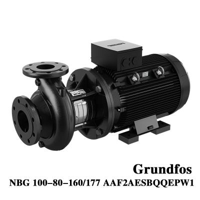 China Grundfos NBG 100-80-160/177 Centrifugal Pump 18.5kW 118.8 m³/h Flow for Water Supply and Irrigation for sale