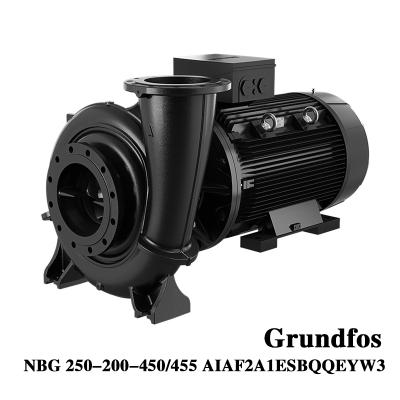 China Grundfos NBG 250-200-450/455 Centrifugal Pump 658.5 m³/h Flow 160 kW IE4 Motor for sale