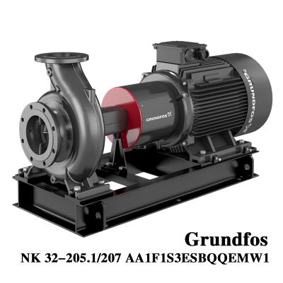 China Grundfos NK 32-205 1/207 Non Self Priming Single Stage Volute Centrifugal Pump For Commercial Heating for sale