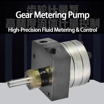 China Stainless Steel Coating Gear Pump for Corrosive Paint & Chemical Fluid Metering for sale