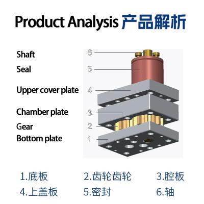 China High Precision Jrg-30 Staple Fiber Spinning Pump 30cc/Rev for Polyurethane/PC Foaming Machine/PUR Hot Melt Adhesive for sale