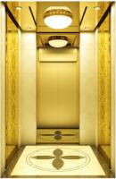 China Modernization Automatic Passenger Elevator Golden Mirror Etching Fuji Lift for sale