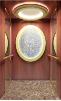 China Luxury Machine Room Less Elevator Fuji VVVF Control Passenger Lifts for sale