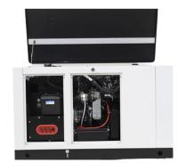 China 10kw15kw Natural Gas 1phase Propane Butane Mixture LPG Gas Generator for Your Benefit for sale
