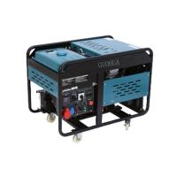 China 6kw Natural Gas Generator Sets 4-Cylinder Water Cooled Portable Genset with Standard for sale