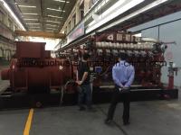 China 12V190 Gas Drilling Engine Jichai Chidong Repair and Maintenance with CE Certification for sale