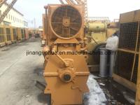 China 200kW Power Station Engine Overhaul CE Certified for Jichai Chidong Jinan Diesel Engine for sale