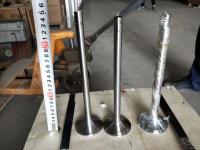 China Customization 118KG W12V190.03.01 Intake Valve for 500kw Natural Gas Generator Shengdong for sale