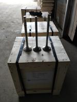 China Customization 118KG W12V190.03.01 Intake Valve for 500kw Natural Gas Generator Shengdong for sale