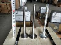 China Customization 118KG W12V190.03.01 Intake Valve for 500kw Natural Gas Generator Shengdong for sale