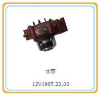 China Standard 12V190t. 22.00 Water Pump with CE Certification from Jinan Shengdond Chidong for sale