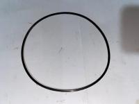 China Standard Component Centrifugal Filter Sealing Ring 12vb. 19.04c for Jichai Engine for sale