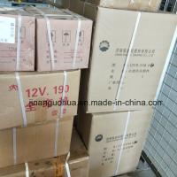 China G12V190zldt1-2 Jinan Natural Gas Generator Parts Water Pump by Non-Standard Component for sale