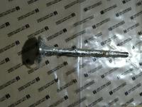 China Jinan Guohua Boat Engine Parts Piston for Jichai Generators and ISO 9001 Accredited for sale