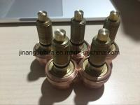 China G12V190pzl Jichai Chidong 190 Series Engine Parts Customization for Off-Road Vehicles for sale