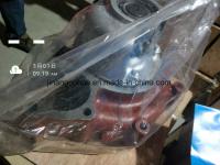 China Push 1000 Water Pump Assembly for Jichai 190 and Shengdong 190 Engine Parts Affordable for sale