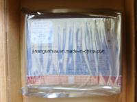 China 2013A Controller for Jinan Diesel Engine Chidong Engine Parts 12V190 and Customization for sale