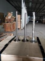 China Boat Intake Valve 12vb. 03.37dseat nbsp 12vb. 03.80.04spare Parts for G12V190 1211 Model for sale