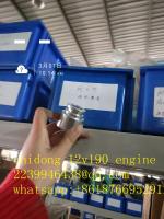 China Co1300f-3/25 Model Bl12V190 Zl-3 Jinan Diesel Engine Parts with ISO9001 Certification for sale