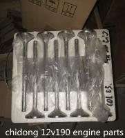 China Co810f-3/22 G12V190zl-3 Jinan Diesel Engine Parts 12V190 The Piston Pin at Affordable for sale