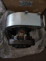 China Fixed Installation Bl12V190zl-1 Chidong Diesel Turbocharger for Steam Turbine Generator for sale