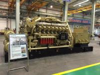 China Standard H16V190zlt2-2 Natural Gas Generator Parts Jinan to Niger Standard Output Type for sale