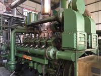 China Shengdong 500kw Gas Generator Engine T12V190zlt Engine Parts for Customized Request for sale