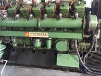 China Shengdong 500kw Gas Generator Engine T12V190zlt Engine Parts for Customized Request for sale