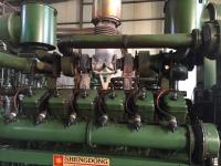 China Shengdong 500kw Gas Generator Engine T12V190zlt Engine Parts for Customized Request for sale