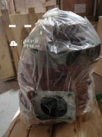 China 500kw Natural Gas Generator Parts AC Three Phase Water Pump Assembly Shengdong 12V190t for sale