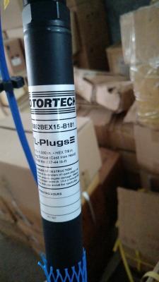 China Motortech Spark Plug Bex15-B181 Output Type AC Three Phase Cooling Method Water Cooling for sale