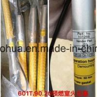 China Push Spark Plug for Shengdong 500kw Natural Gas Generator Spare Parts Pct23 Certified for sale