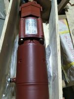China Aluminum 12V190 Pre-Supply Oil Pump for Diesel Engine Parts 2012.54.00 for sale