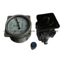China 12V190 Diesel Engine Parts Turbocharger Oil Pressure Intercooler Water Temperature Gauge for sale