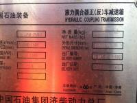 China 12-Cylinder Jinan Diesel Engine 2000 Series Model G12V190pzl for Customized Request for sale