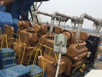 China 12-Cylinder Jinan Diesel Engine 2000 Series Model G12V190pzl for Customized Request for sale