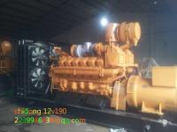 China G12V190pzl-3 Jichai V Cylinder Arrangement Drilling Engine for Drilling Industry for sale