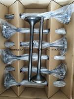 China 3000 Series Diesel Engine Coupling Gear Box Set Yozj750-20fdfa with Female Connection for sale