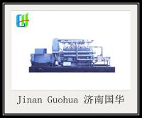 China CE Standard Shengdong 12V190 Series 700kw Biogas Gas Generator for Optimal Efficiency for sale