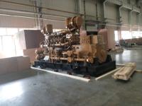 China 1MW Power Station Equipped with 12V190 Gas Generator and Customized Request Option for sale