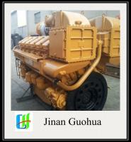 China 12V190 Biogas Power Generator Customization Customized Request 500kw Biogas Generator for sale