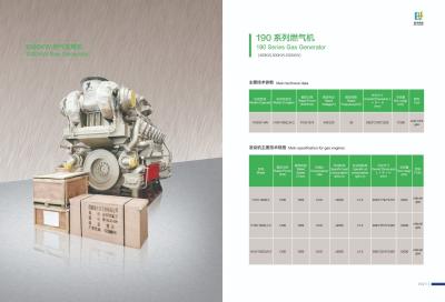 China 1000kw Jichai Chidong H16V190zlt2-2 Natural Gas Generator for Customized Requirements for sale