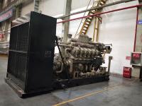 China DC Output Type 1000kw Jichai H16V190 Natural Gas Generator Engine Model at Competitive for sale