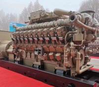 China 500kw Jichai 12V190 Zldz-2 Biogas Ignition Generator for Clean and Sustainable Energy for sale