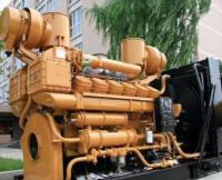 China 12V190DT2-2 Natural Gas Generator with Advanced Technology and Ignition Mode Ignition for sale