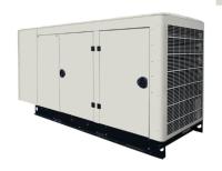 China 60kVA Biogas Generator Set For Farm Slaughterhouse 1500 / 1800 Rmp for sale