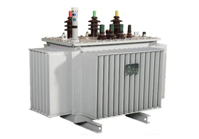 China Fully Sealed 10kV Oil Immersed Transformer Anti Aging Strong Insulation Distribution for sale